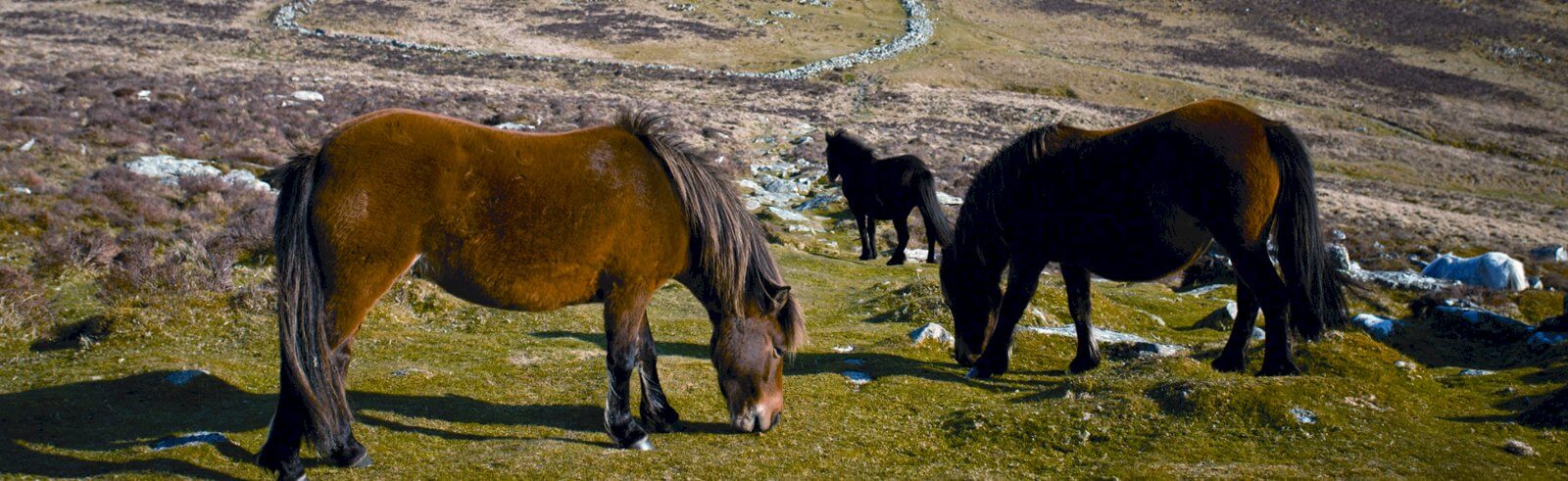Things to do in Devon | Long Barn Holiday Cottages Devon